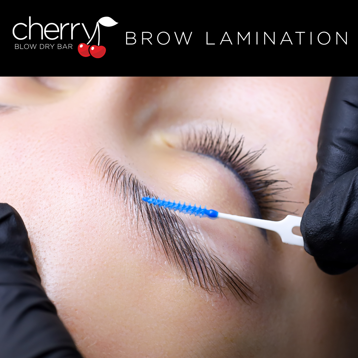 Lash + Brow Services